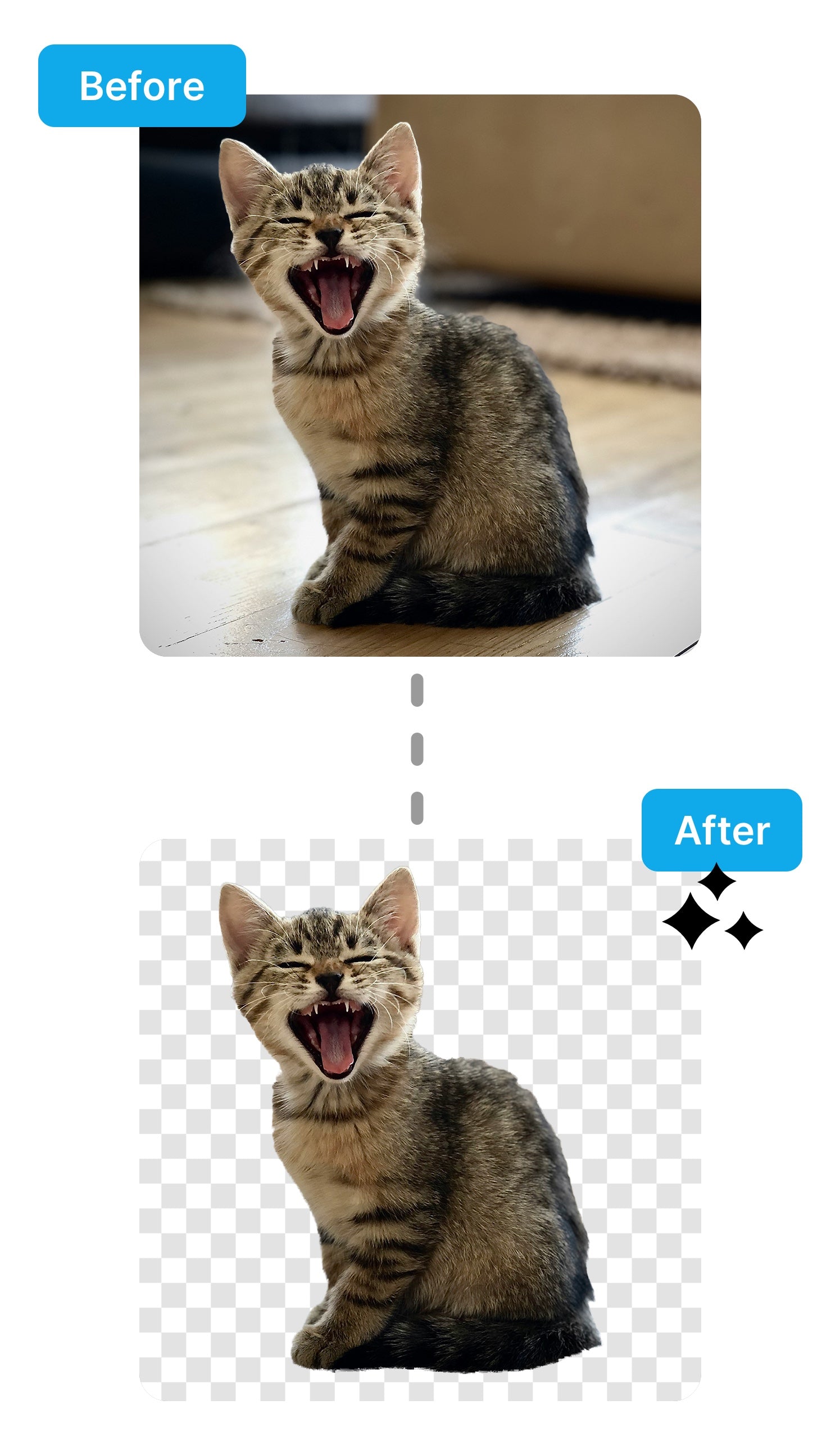 Ninja Background Remover | Free Image Background Remover Tool