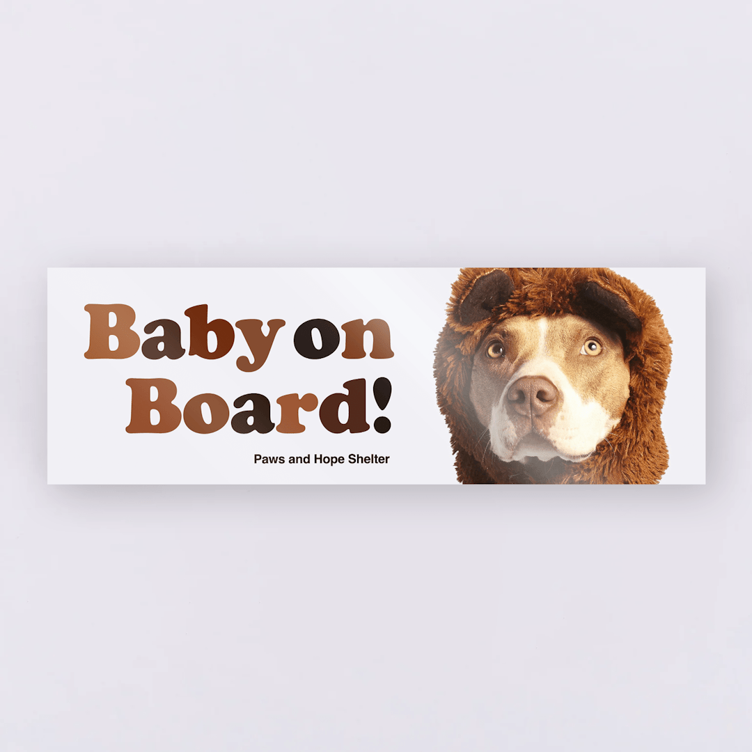 Custom Bumper Stickers | Buy Bumper Stickers in Bulk