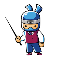 About Ninja Transfers | The Leader in Custom DTF Transfers